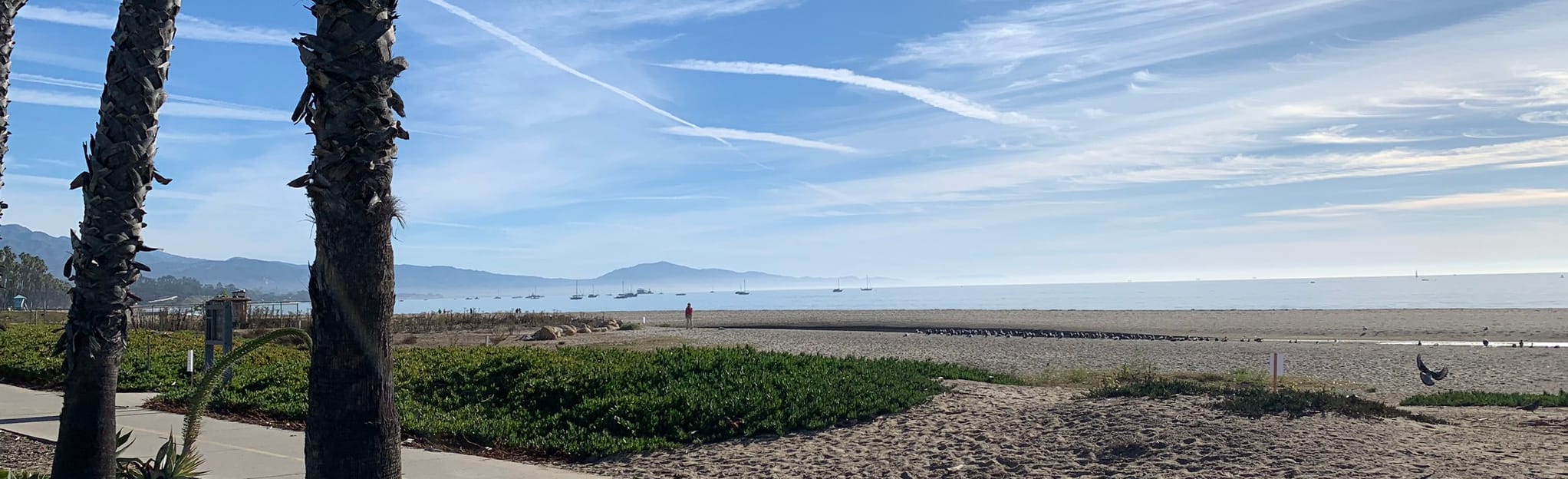 Santa Barbara Waterfront, California - 499 Reviews, Map | AllTrails