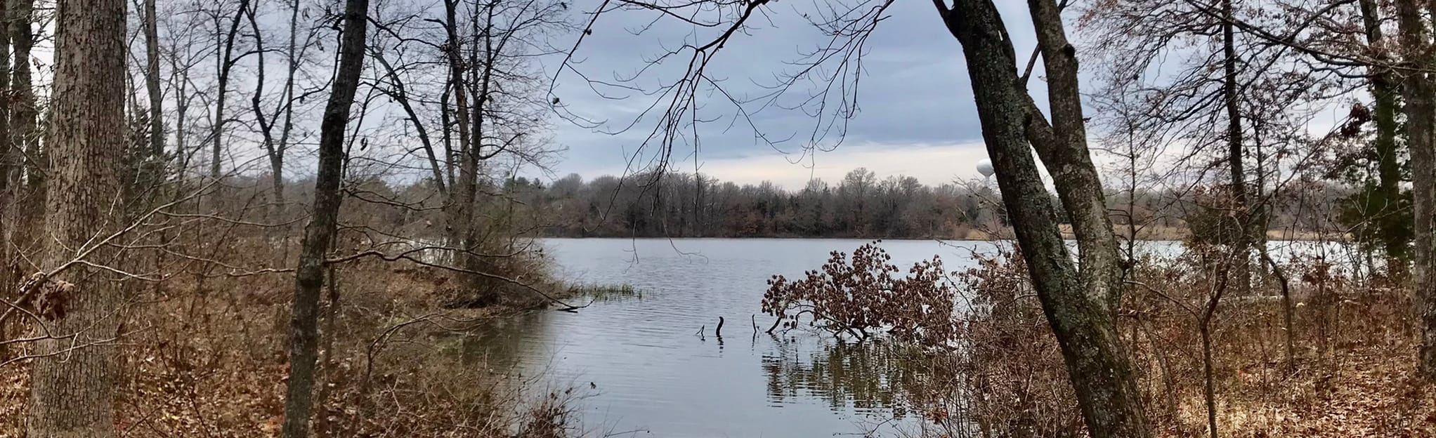 Little Dixie Lake Shoreline Trail, Missouri - 9 Reviews, Map | AllTrails