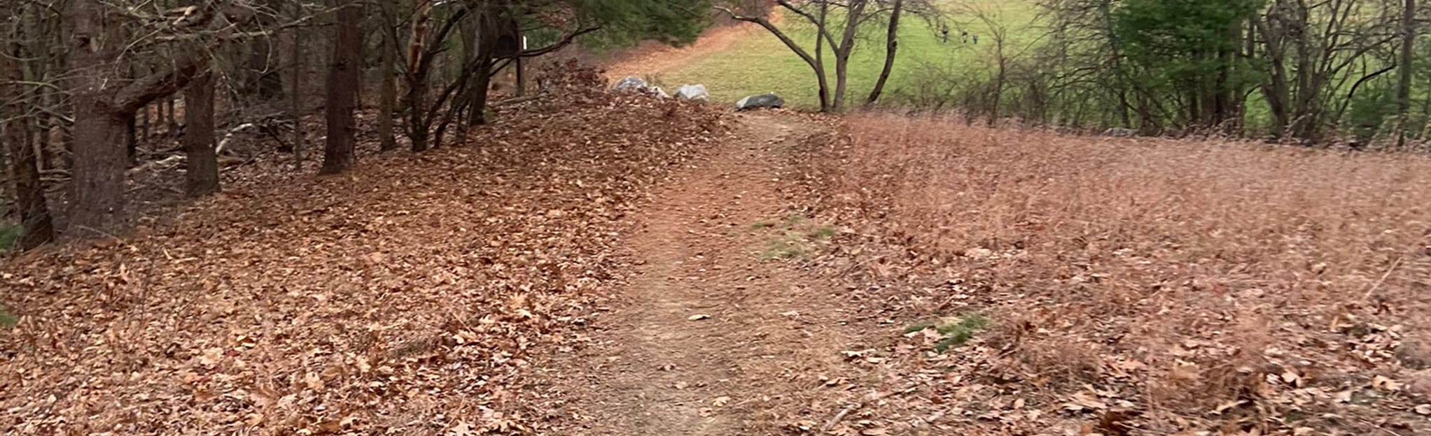 Wetherbee Conservation Land Trail, Massachusetts - 49 Reviews, Map ...