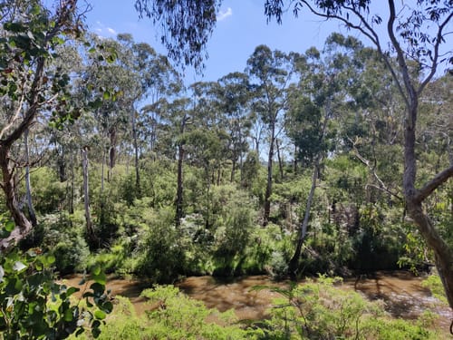 Los 10 mejores senderos y rutas en Warrandyte State Park | AllTrails