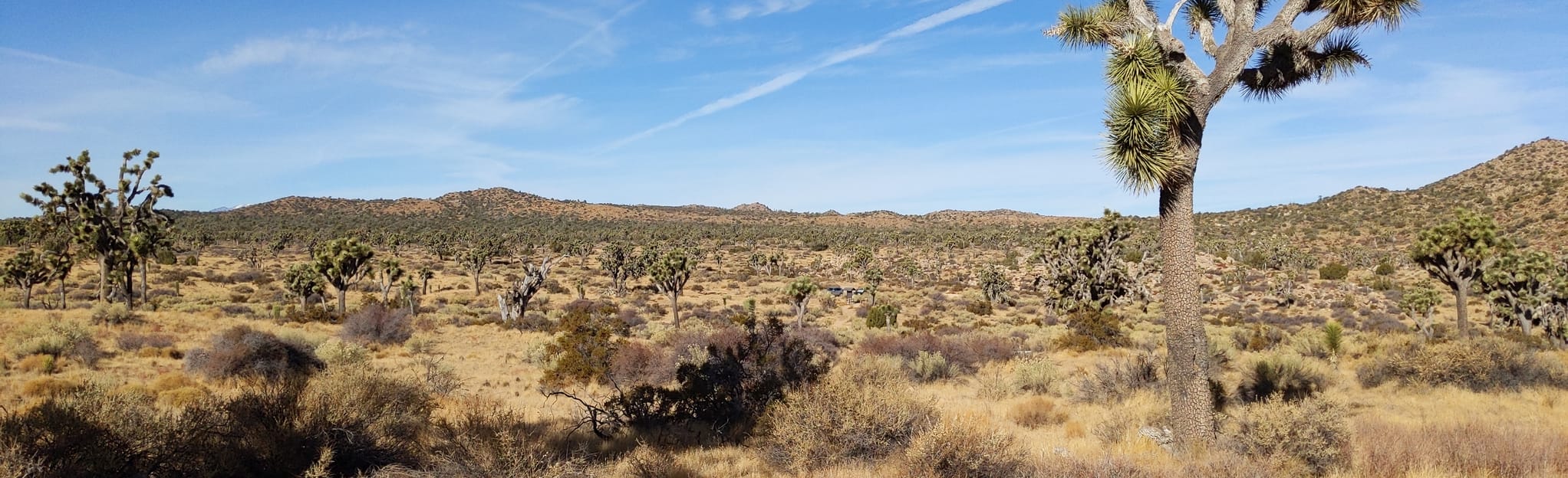 Quail Mountain via Covington Crest Trailhead: 31 Reviews, Map ...