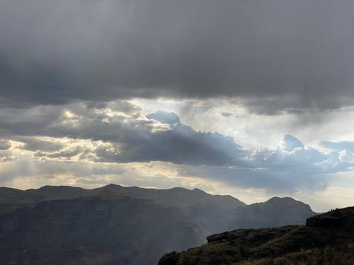 2023 Best Wild Flowers Trails in Acomayo | AllTrails