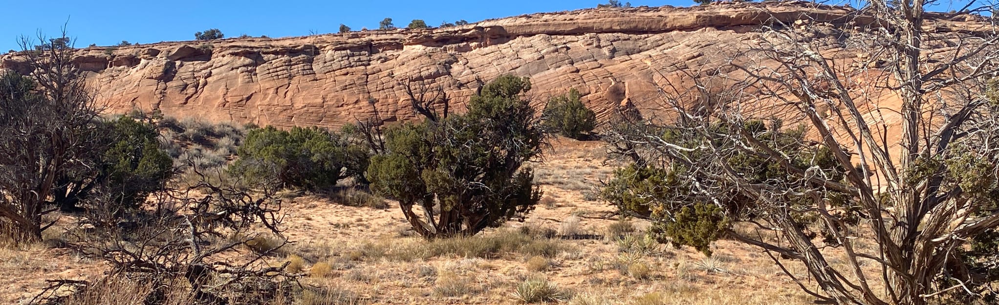 The Volcano / Cosmic Ashtray - Utah | AllTrails