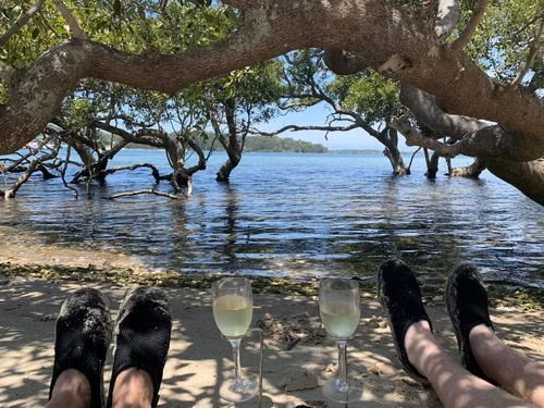 Best Beach Trails in Soldiers Point | AllTrails