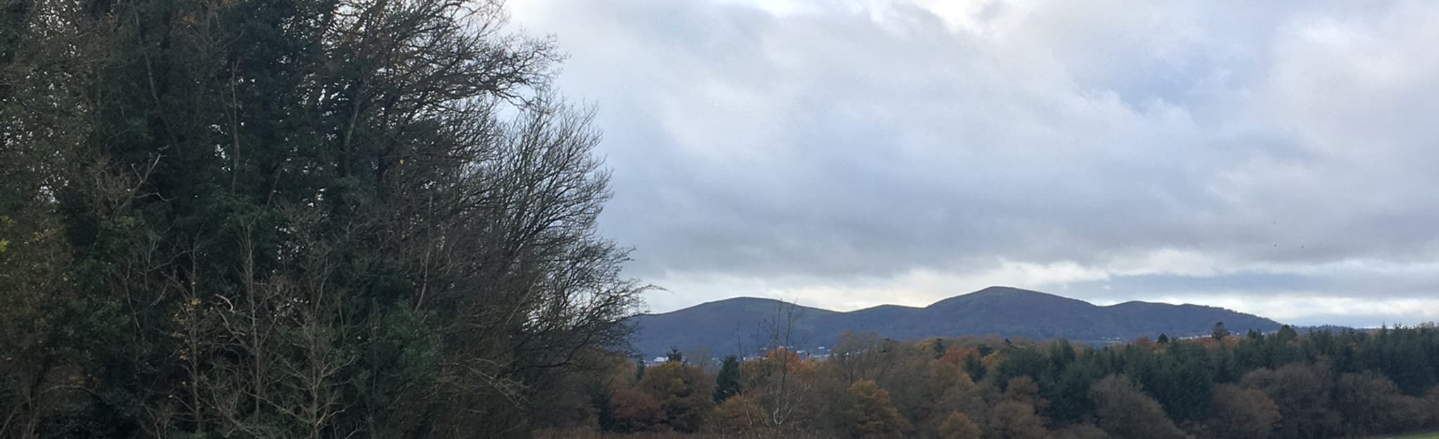 Callow End Circular, Worcestershire, England - 11 Reviews, Map | AllTrails