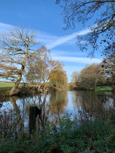 Best Hikes and Trails in Lickey Hills Country Park | AllTrails