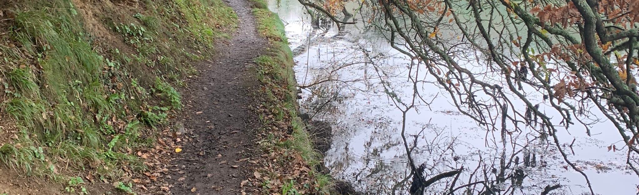 Old Kea - Coombe Circular | Map, Guide - Cornwall, England | AllTrails