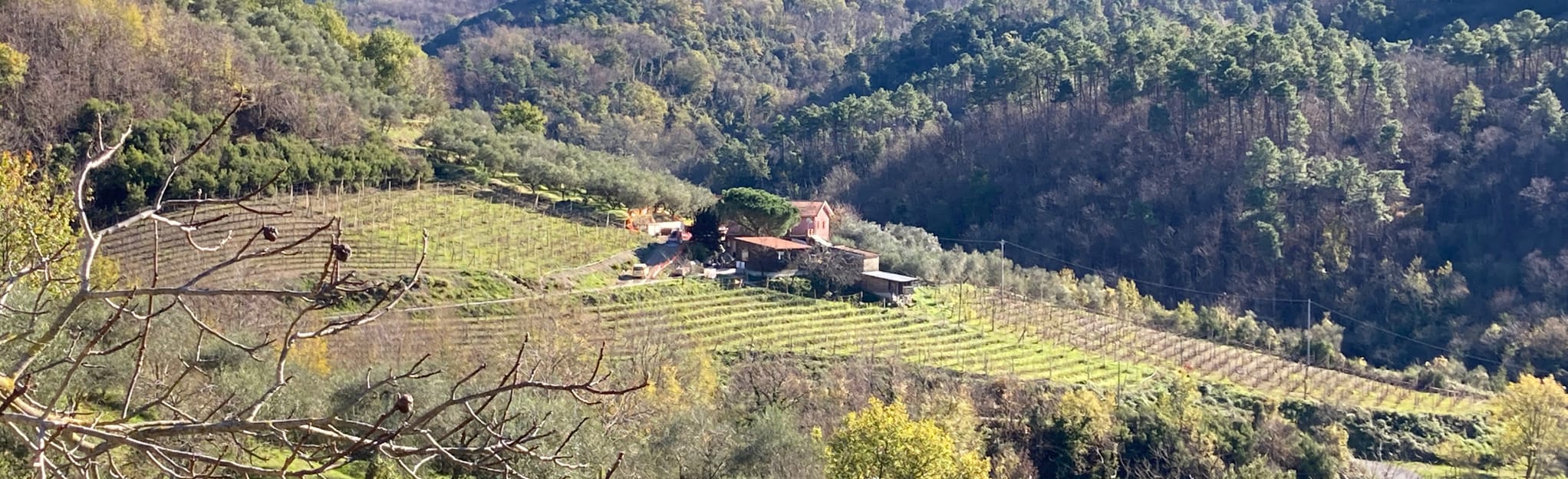 Velva - Missano Loop, Liguria, Italy - 5 Reviews, Map | AllTrails