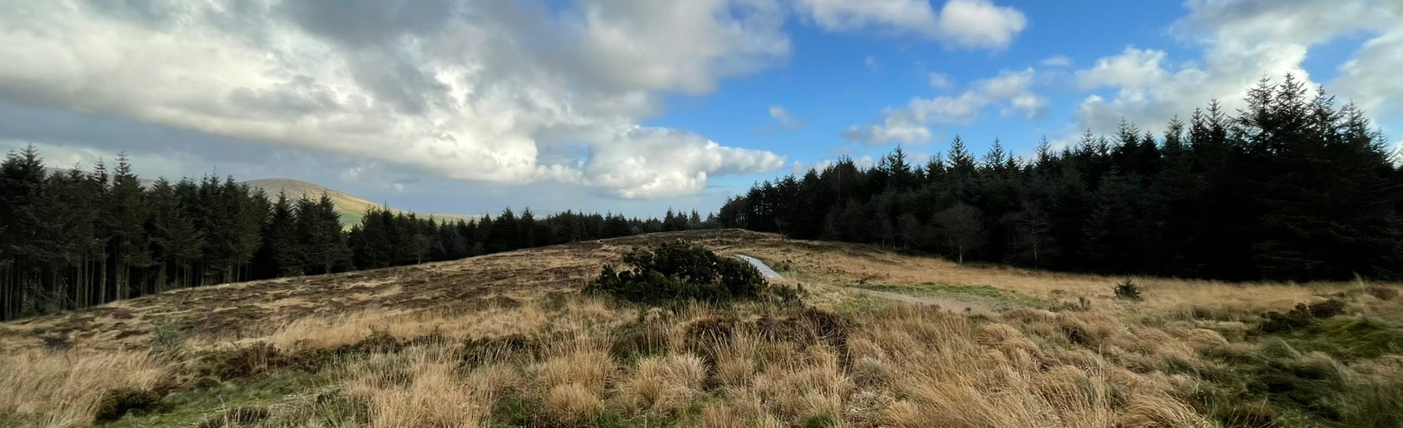 Brock Valley and Beacon Fell Circular, Lancashire, England - 46 Reviews ...