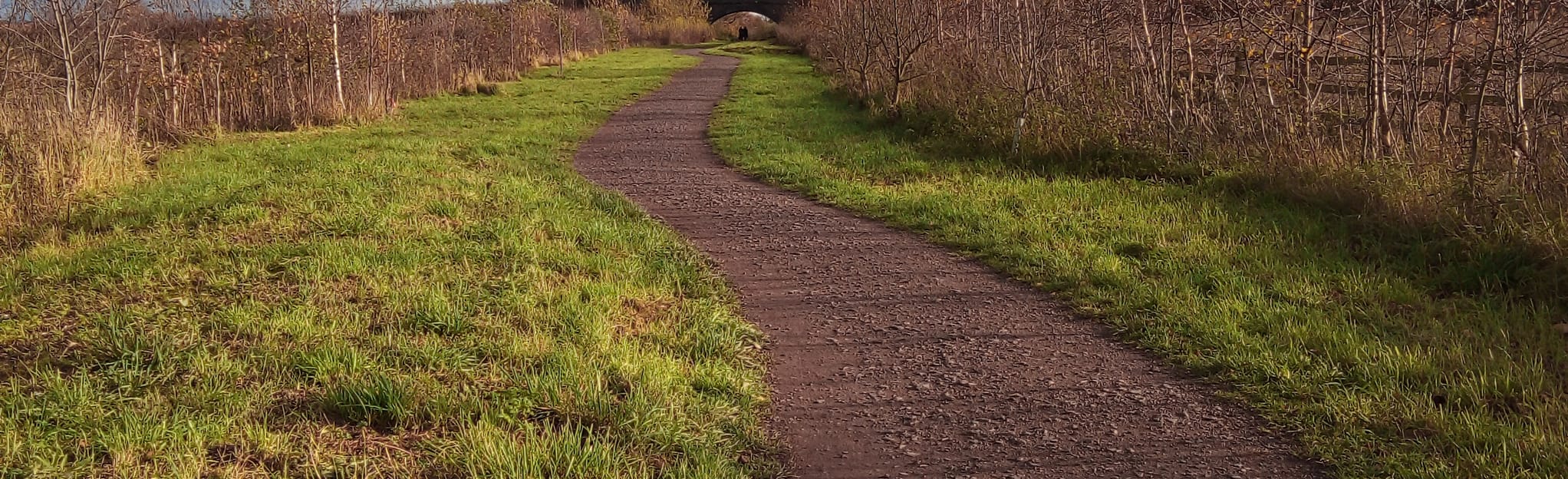 Aqualate Mere Park Walk: 16 Reviews, Map - Staffordshire, England ...