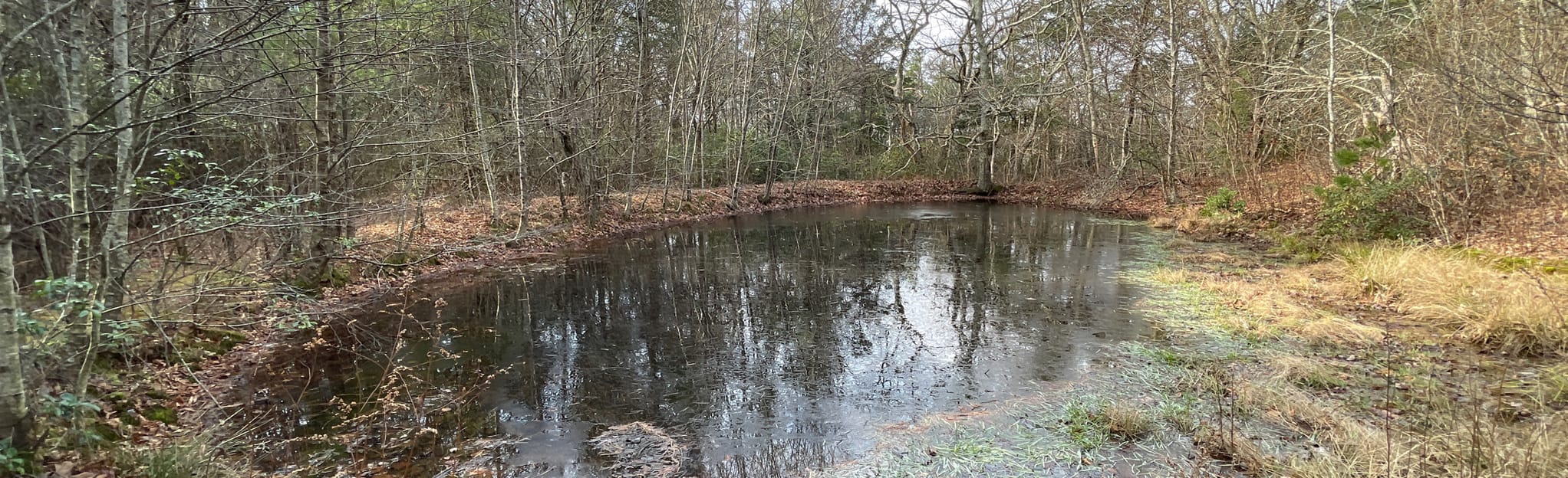 Ramseys Draft Trail: 92 Reviews, Map - Virginia | AllTrails