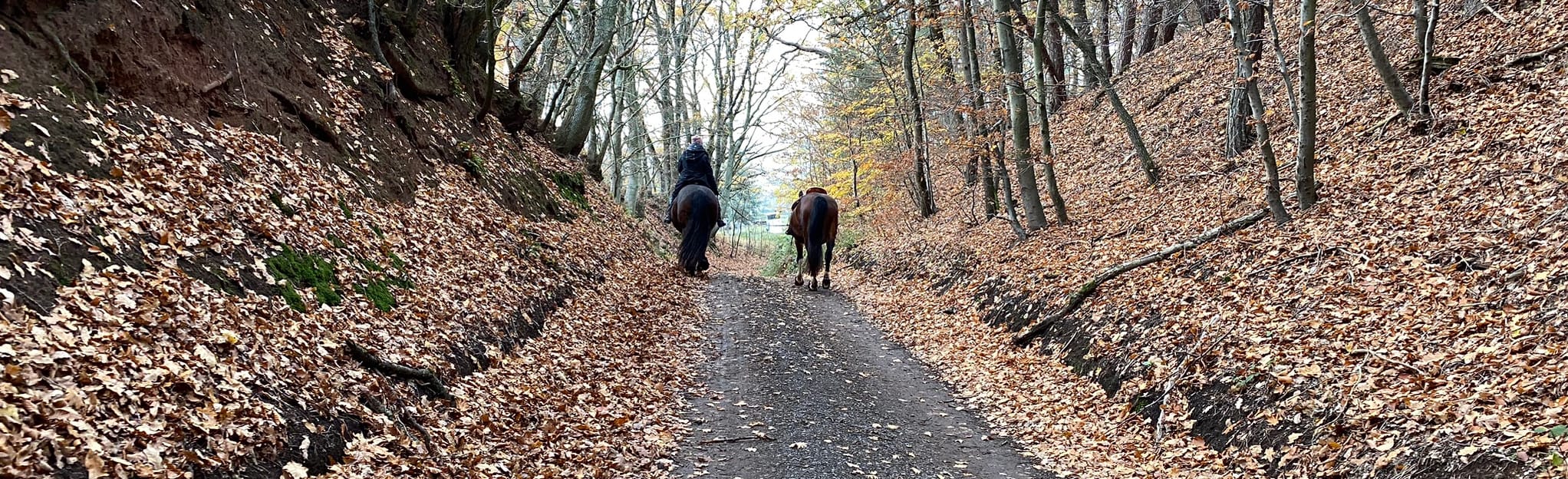 Bauhuebel from Mehlbach, Rhineland-Palatine, Germany - 11 Reviews, Map ...