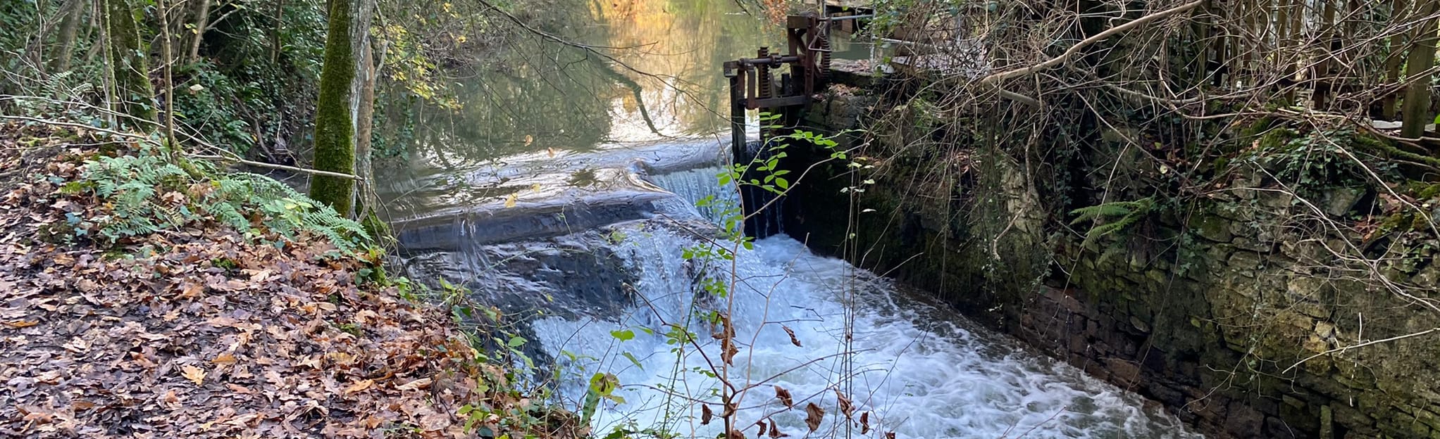 East Mendip Way: Great Elm to Frome, Somerset, England - 24 Reviews ...