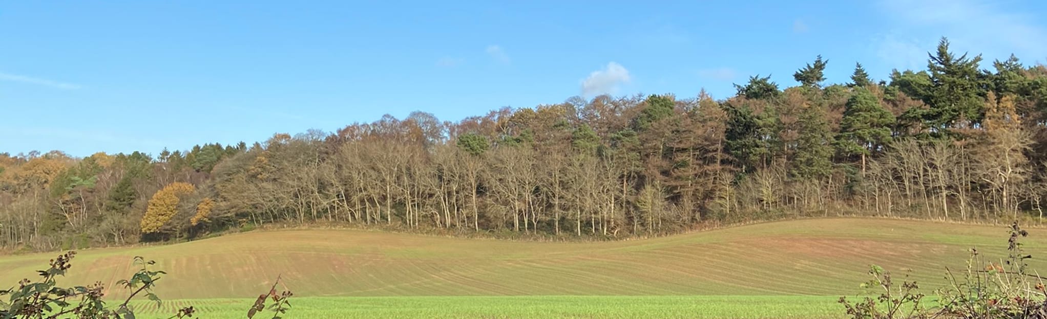 Kinver to Stourton via Gibbet Wood : 51 Photos - Midlands de l'Ouest ...