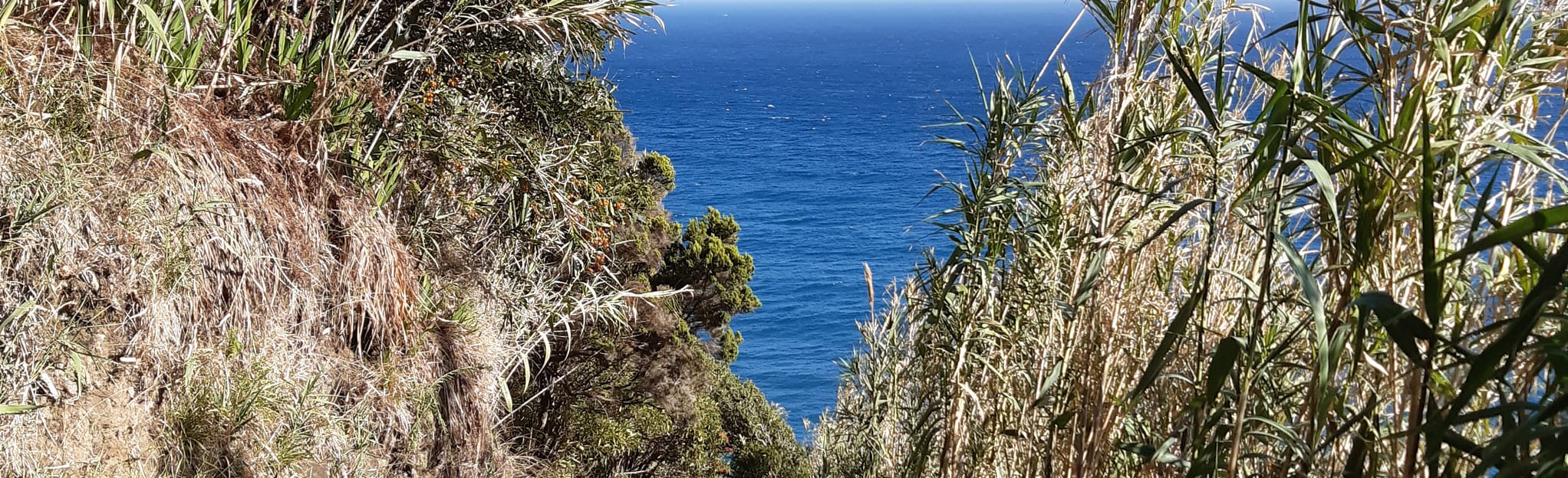 PRC13 SMI - Água Retorta: 42 Fotos - Azoren, Portugal | Wandern | AllTrails