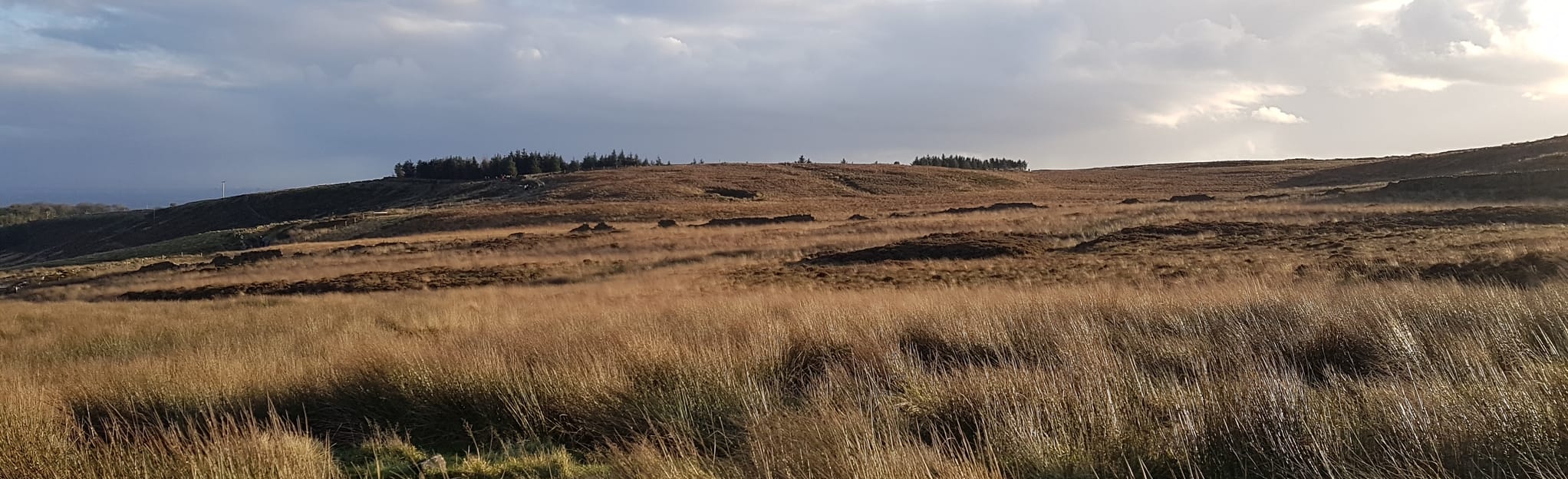 Walker Woods and West Pennine Moors Circular: 283 Reviews, Map ...