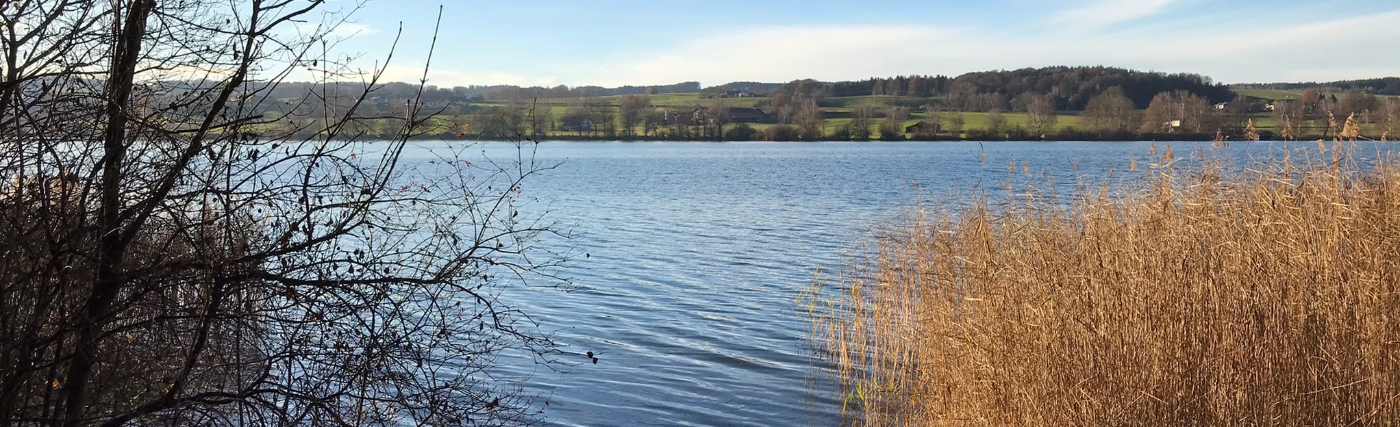 Tachinger See Ost - Bayern, Germany | AllTrails