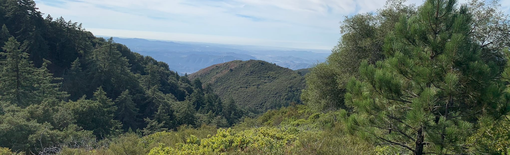 Eagle Crag via Agua Tibia Loop: 45 Reviews, Map - California | AllTrails