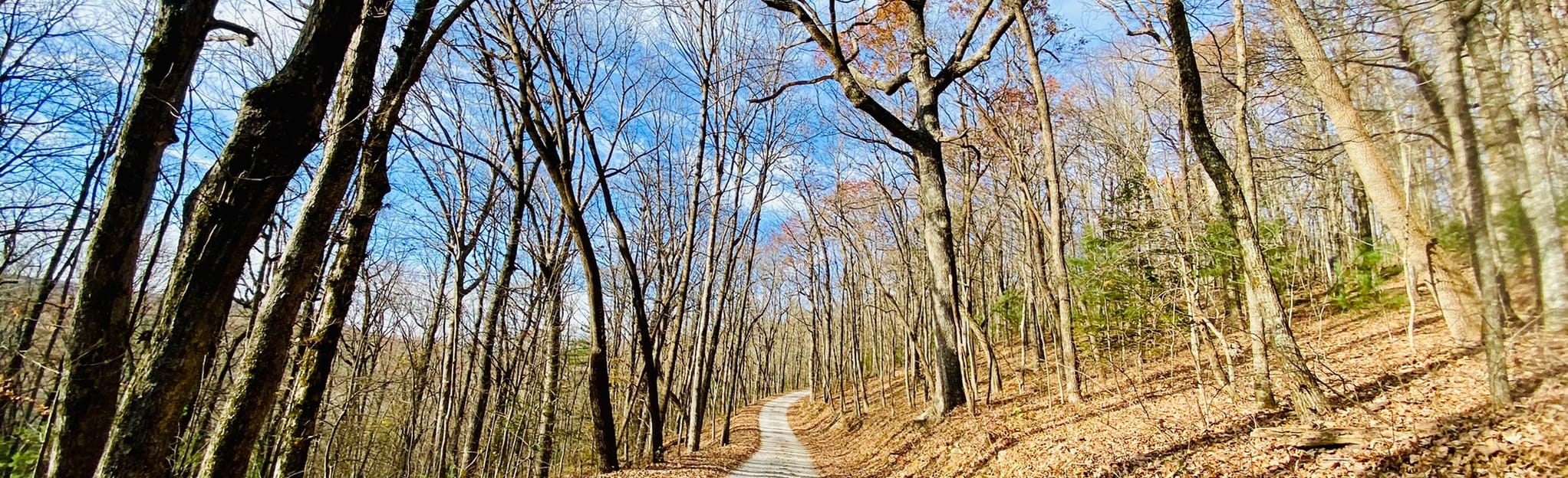 Frosty Mountain via Appalachian Approach Trail, Georgia - 396 Reviews ...