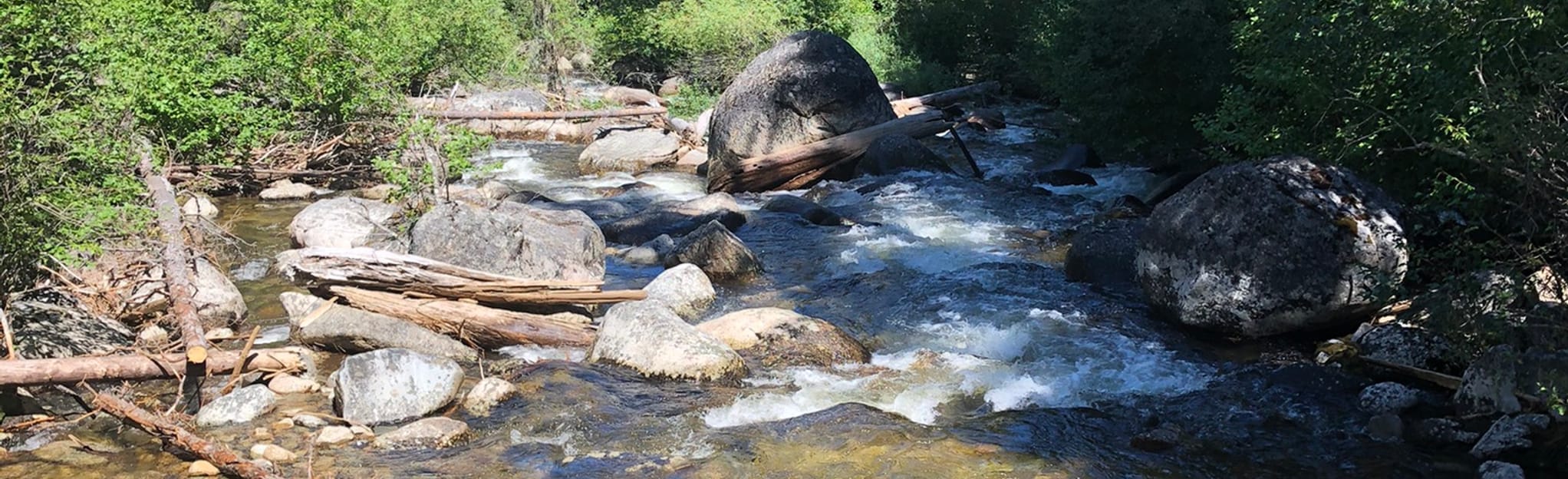 Joe Lake via Centennial Trail | Map, Guide - British Columbia, Canada ...