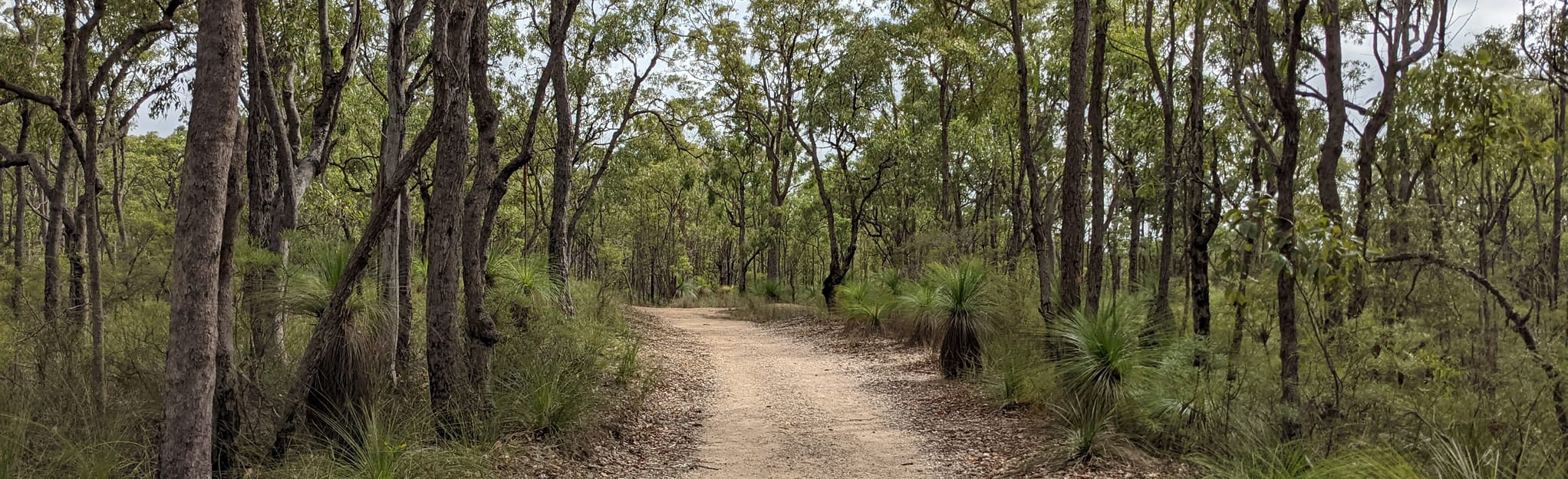 Chermside Hills Reserves Circuit: 533 Fotos - Queensland, Austrália ...