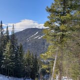 Wheeler Pass Trail, Colorado - 92 Reviews, Map | AllTrails