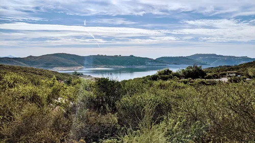 Best Hikes and Trails in Elfin Forest Recreational Reserve | AllTrails