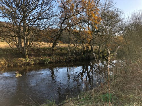 2023 Best 10 Trails, Walks, and Paths in Consett | AllTrails