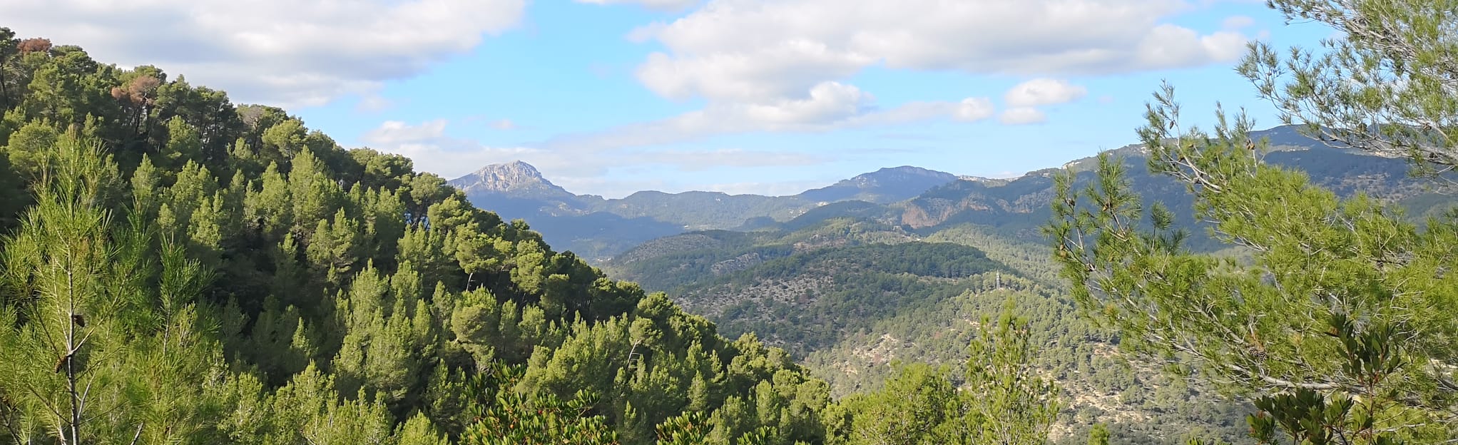 Coll de Son Marill - Coves del Pilar - Pedreres de Son Quint: 115 ...