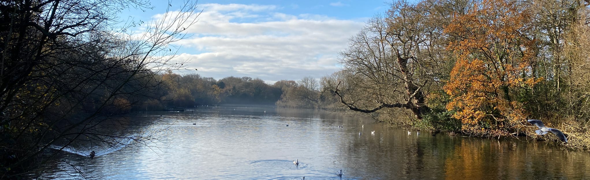 Chingford and Epping Forest, Essex, England - 90 Reviews, Map | AllTrails