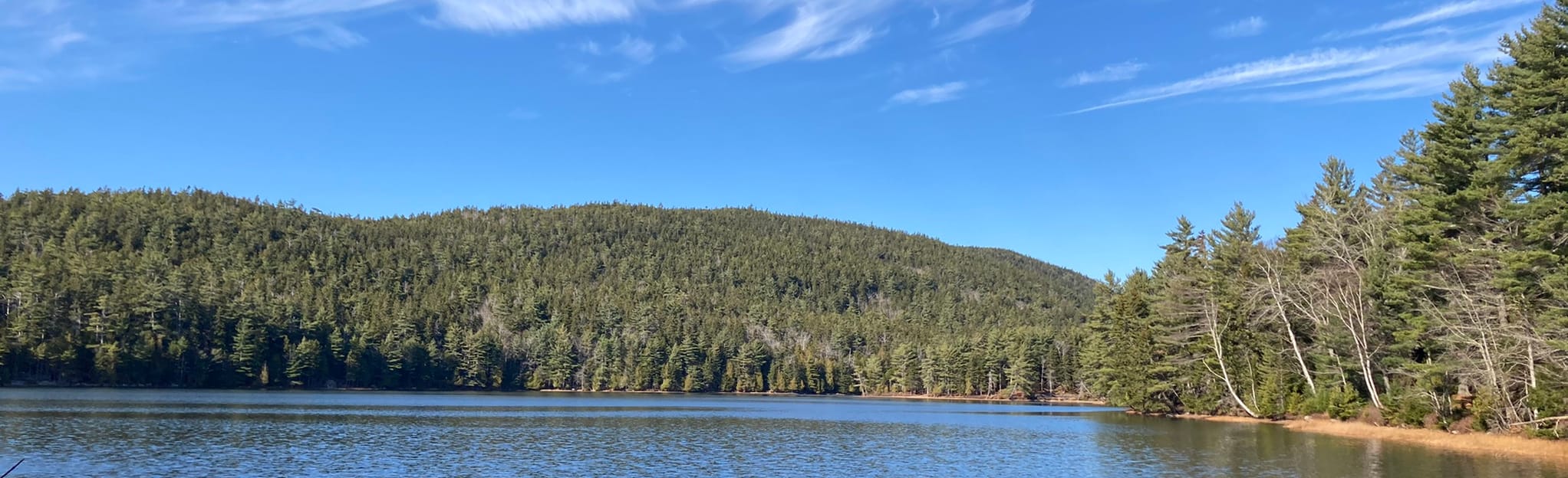 Hadlock Ponds Loop, Maine - 225 Reviews, Map | AllTrails
