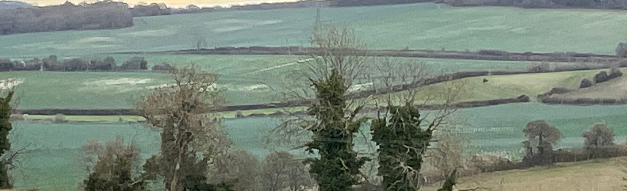 Camer Park and Luddesdown Circular: 25 Reviews, Map - Kent, England ...