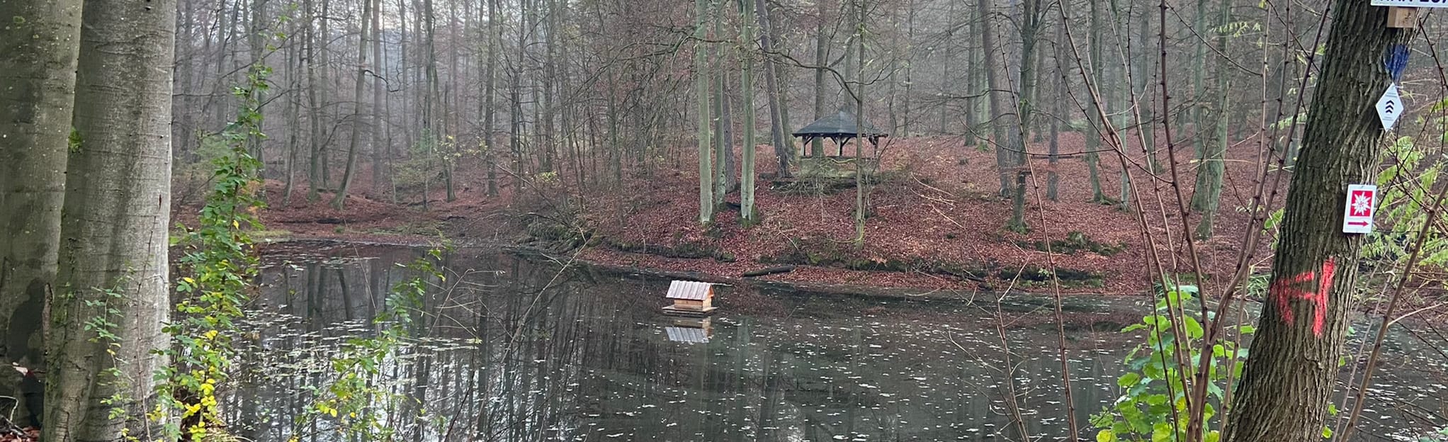 Rodenbach: Rundwanderweg Fuchs, Hesse, Germany - Map, Guide | AllTrails