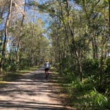 Good Neighbor Trail, Florida - 165 Reviews, Map | AllTrails