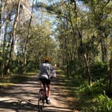 Good Neighbor Trail, Florida - 165 Reviews, Map | AllTrails