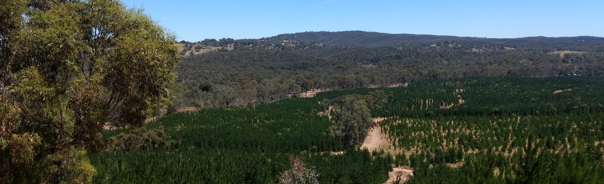 Bennet's Forrest Chain of Ponds: 2 Reviews, Map - South Australia ...