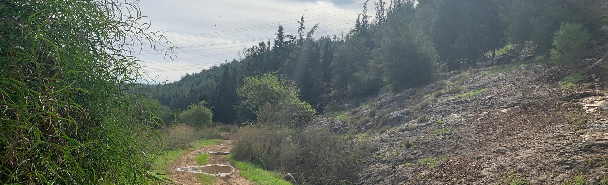 Tel Hadid, Natuf Stream and Northern Ben Shemen Forest: 9 Reviews, Map ...