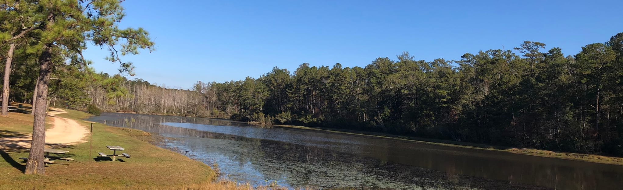 Beaver Lake Trail, Alabama - 130 Reviews, Map | AllTrails