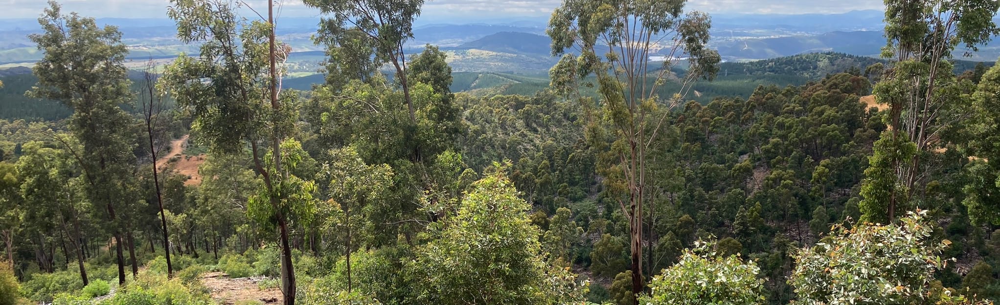 Blue Range Hut and Road Loop, Australian Capital Territory, Australia ...