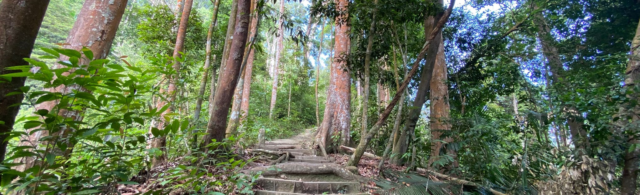 Moongate, Mount Olivia and Botanical Gardens Loop - Penang, Malaysia ...