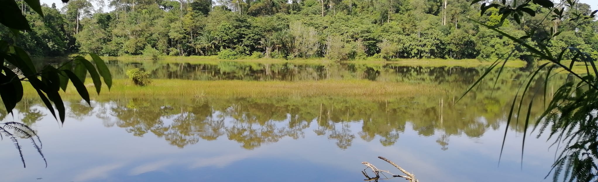 Bukit Raja Lake via Backyard Trail, Selangor, Malaysia - 26 Reviews ...