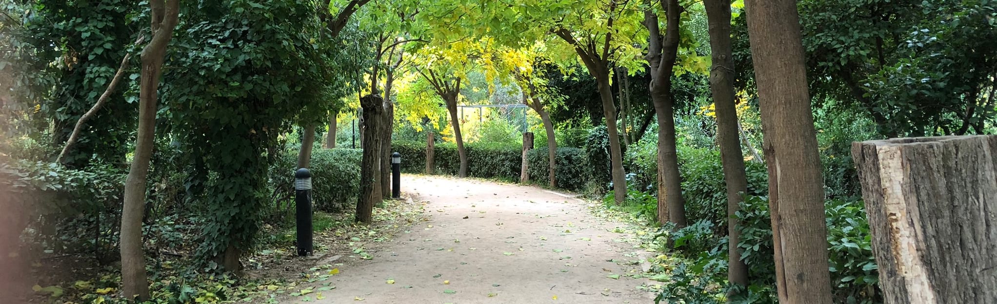 Pedion tou Areos Park, Attica, Greece - 41 Reviews, Map | AllTrails