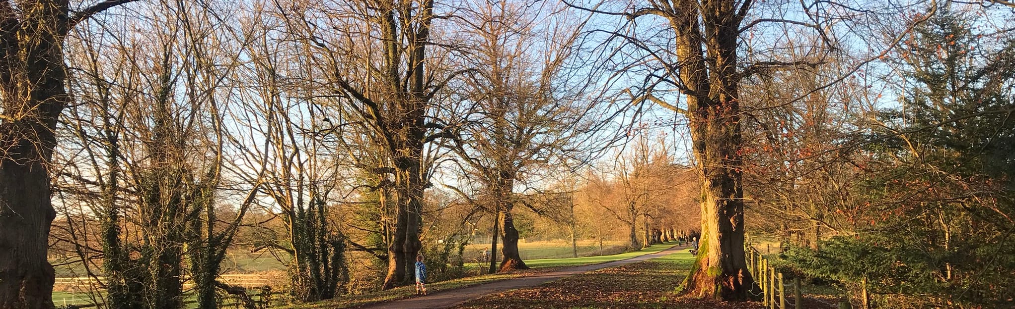 Bathurst Estate and Queen Anne Monument Circular, Gloucestershire ...