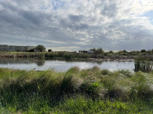 Best Hikes and Trails in Brazoria National Wildlife Refuge | AllTrails