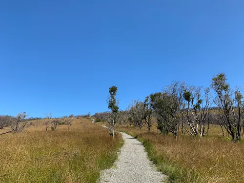 Best Hikes and Trails in Crowdy Bay National Park | AllTrails