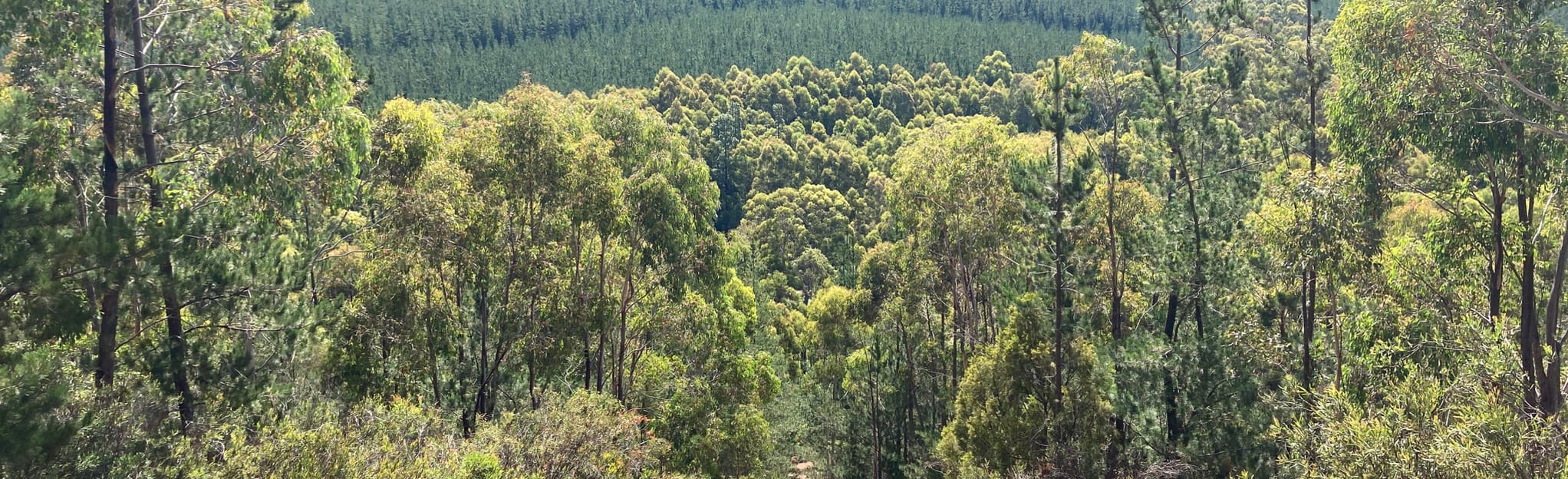 Blue Range Hut Loop, Australian Capital Territory, Australia - 4 ...