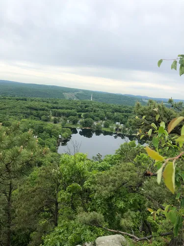 10 Best Hikes and Trails in Meshomasic State Forest | AllTrails