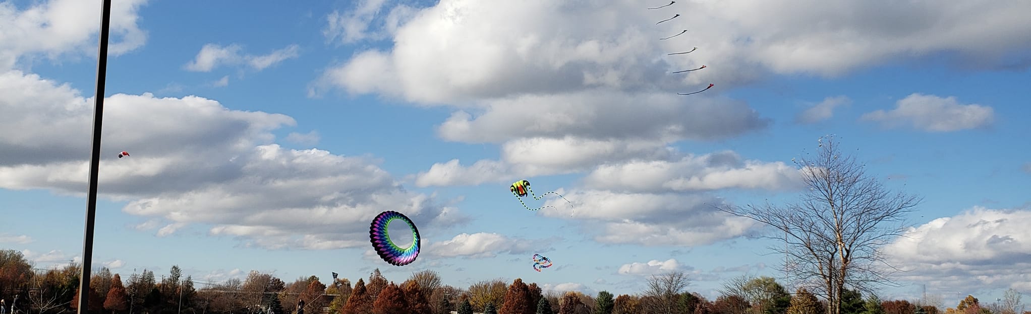 Chesterfield Loop: 30 Reviews, Map - Missouri | AllTrails