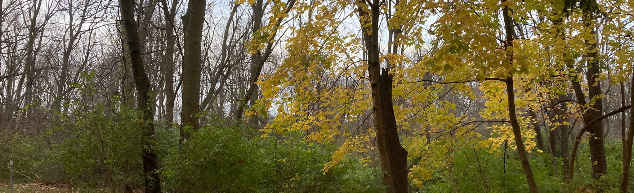 Manheim Township Community Park Loop - Pennsylvania | AllTrails