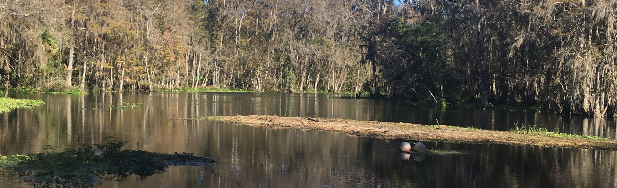 Silver Spring River Trail, Florida - 245 Reviews, Map | AllTrails